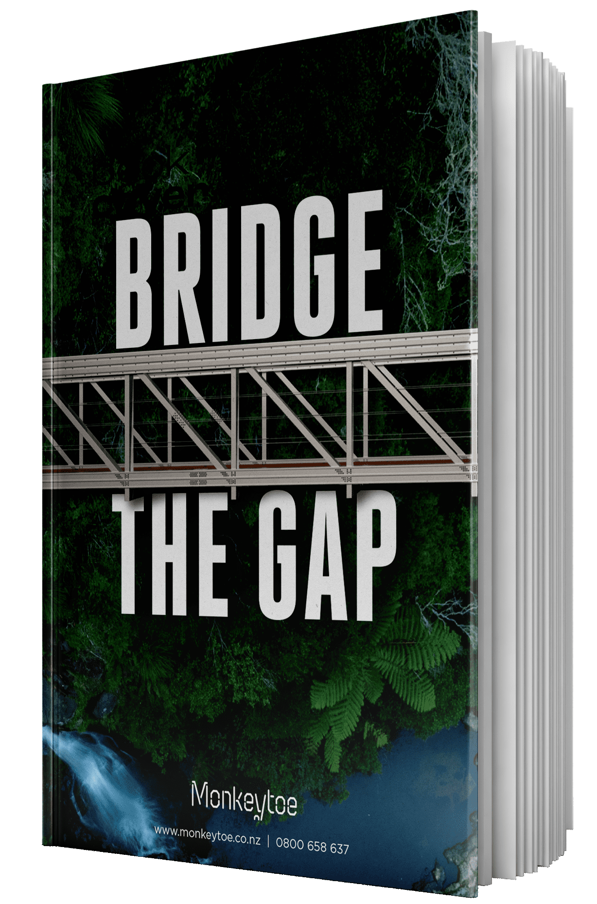 Bridges - Monkeytoe Australia