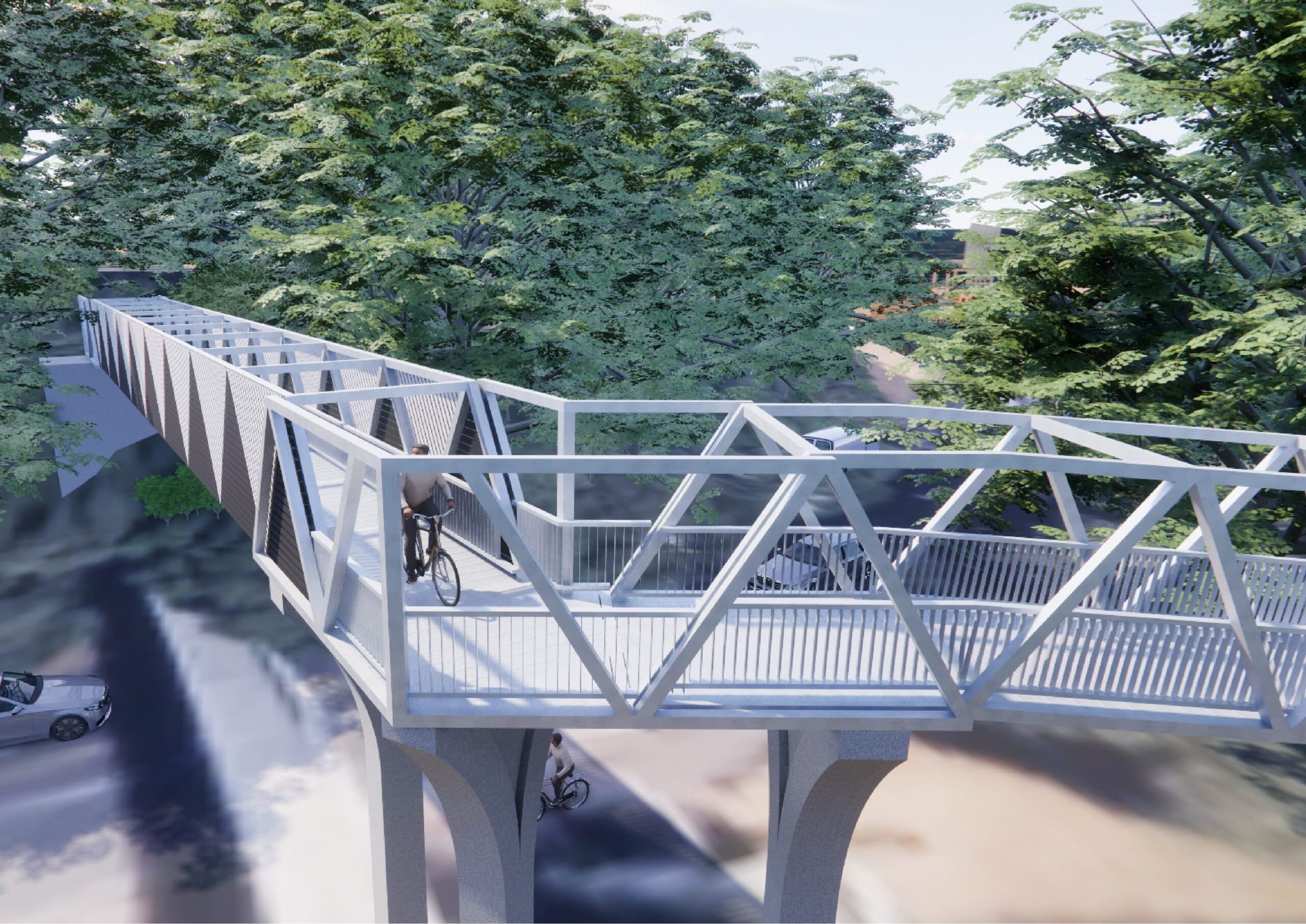 Custom Bridge - Monkeytoe Australia