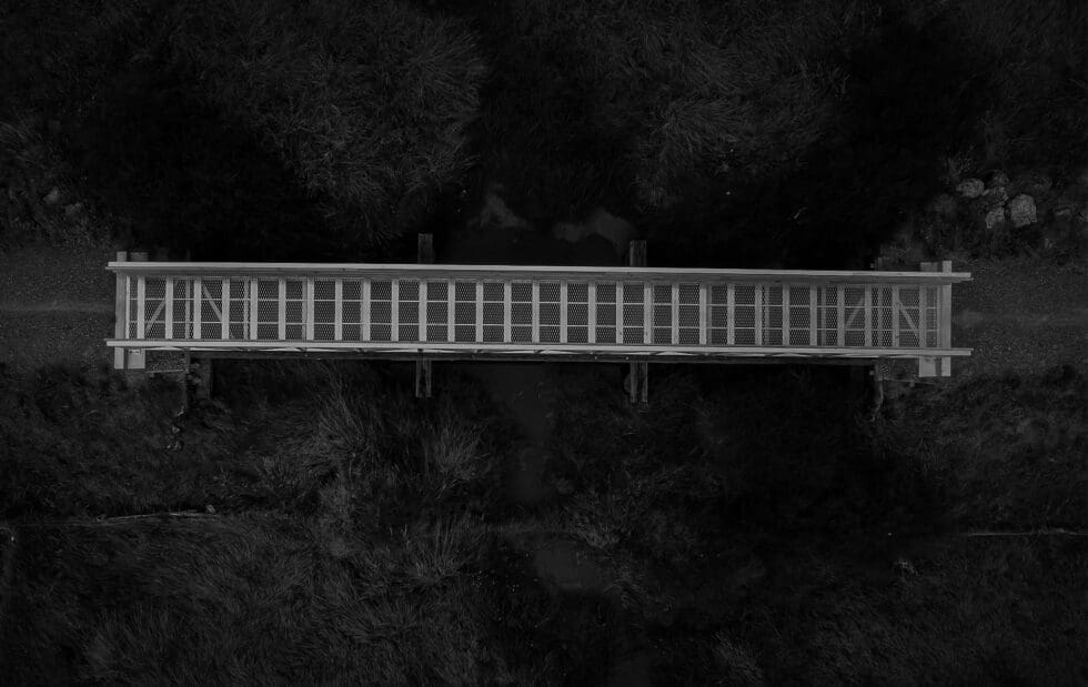 Bridges - Monkeytoe Australia