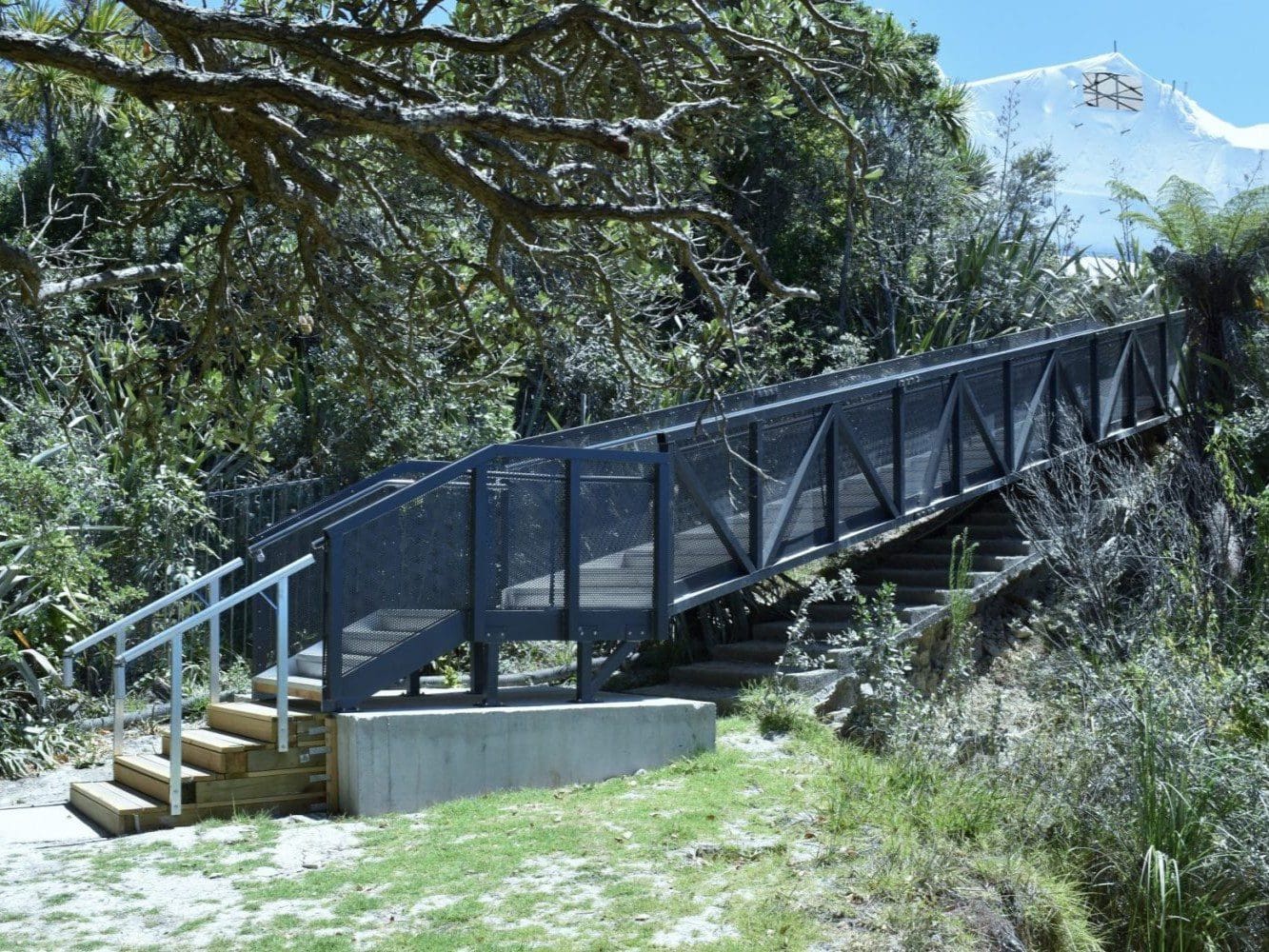 Custom Bridge - Monkeytoe Australia