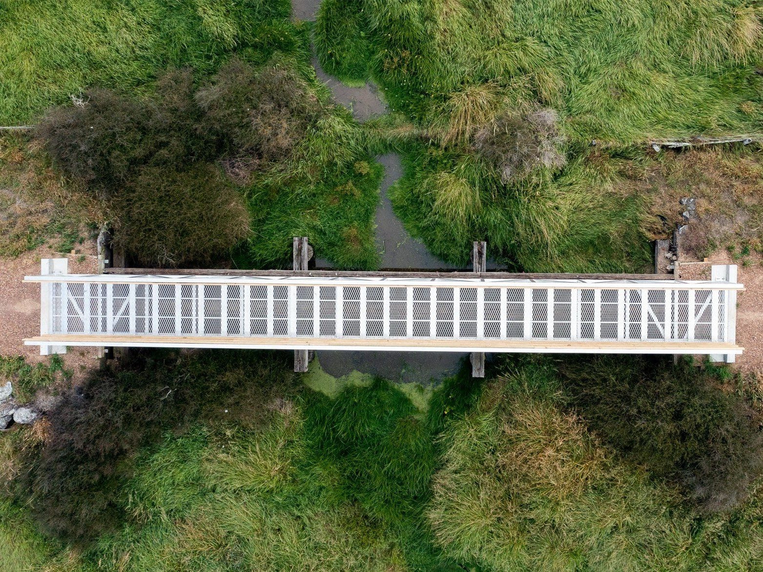 Bridges - Monkeytoe Australia